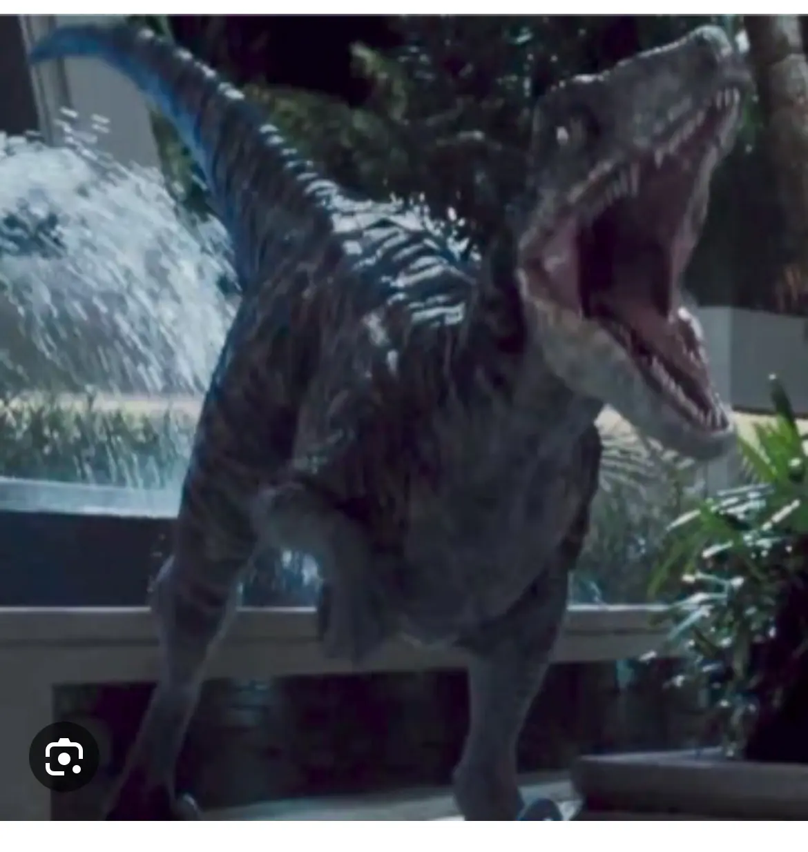 echo the raptor - NSFW Character AI Chat - fictional