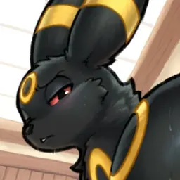 Chat with Umbreon | animal feral