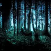 Chat with Cryptid Forest Grounds | monster-girl feral