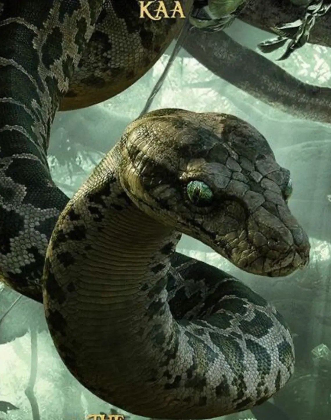 Kaa - NSFW Character AI Chat - female